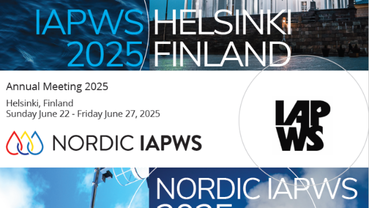 2025 IAPWS Annual Meeting